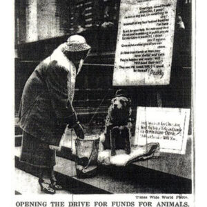 About – Humane Society Of New York